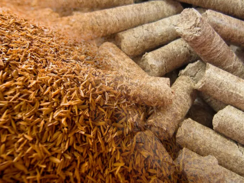 Efficient Rice Husk Pellet Machine | Biomass Fuel Pelletiser